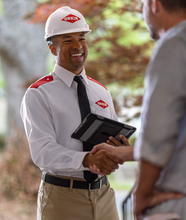 Orkin®️ | GET50 for $50 OFF Today | (866) 498-4377
